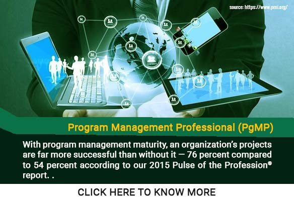 Program Management Professional(PgMP) Certification in India - Proventures