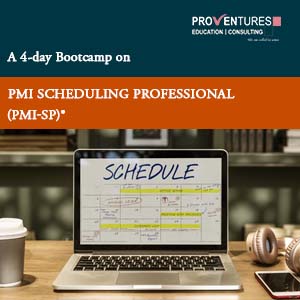 Training and Consulting Services | Proventures India